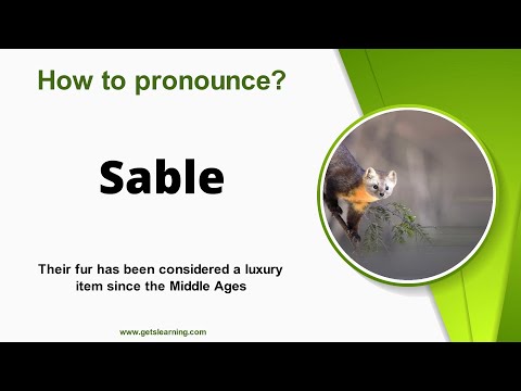 How to pronounce Sable in English correctly