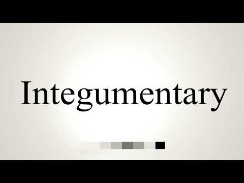 How To Say Integumentary