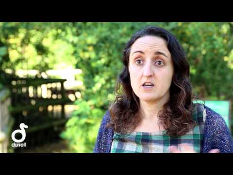 Dr Lianne Concannon - The Durrell Index