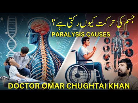 Paralysis: Causes, Symptoms, and Easy Explanation #PL2