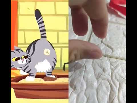 cat poop🤮🤮🤮🤮 #catpoop #eww