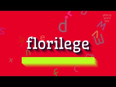 How to say "florilege"! (High Quality Voices)