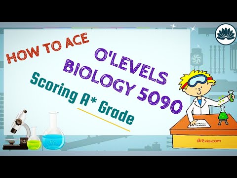 How To Ace O'Level BIOLOGY 5090 | GCE O Level | Biology
