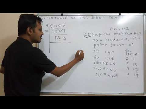 Prime Factors of 7429 #primefactors #cbseclass10maths #cbseclass10 prime factors of 5005 3825 #ncert