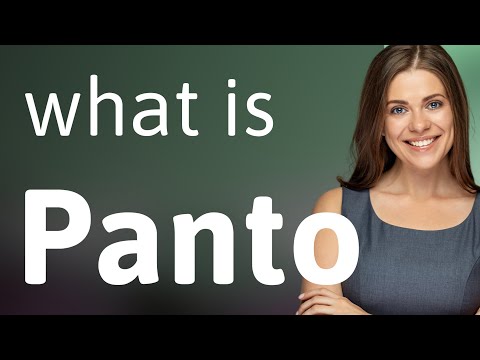 Panto — PANTO meaning