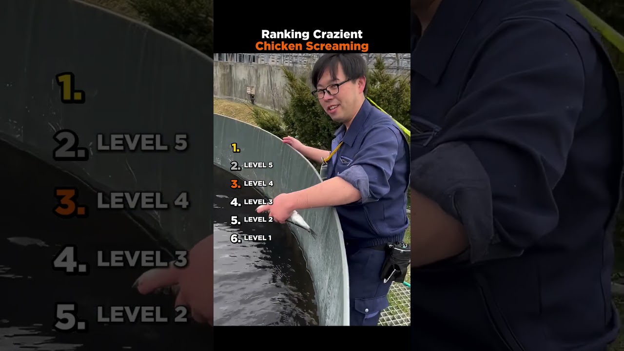 Ranking Crazient Chicken Screaming