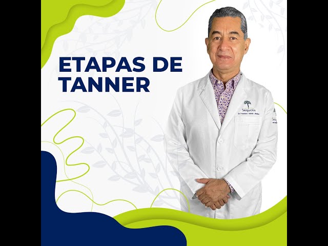 Estadios De Tanner Los Estadios De Tanner Son Una Herramienta