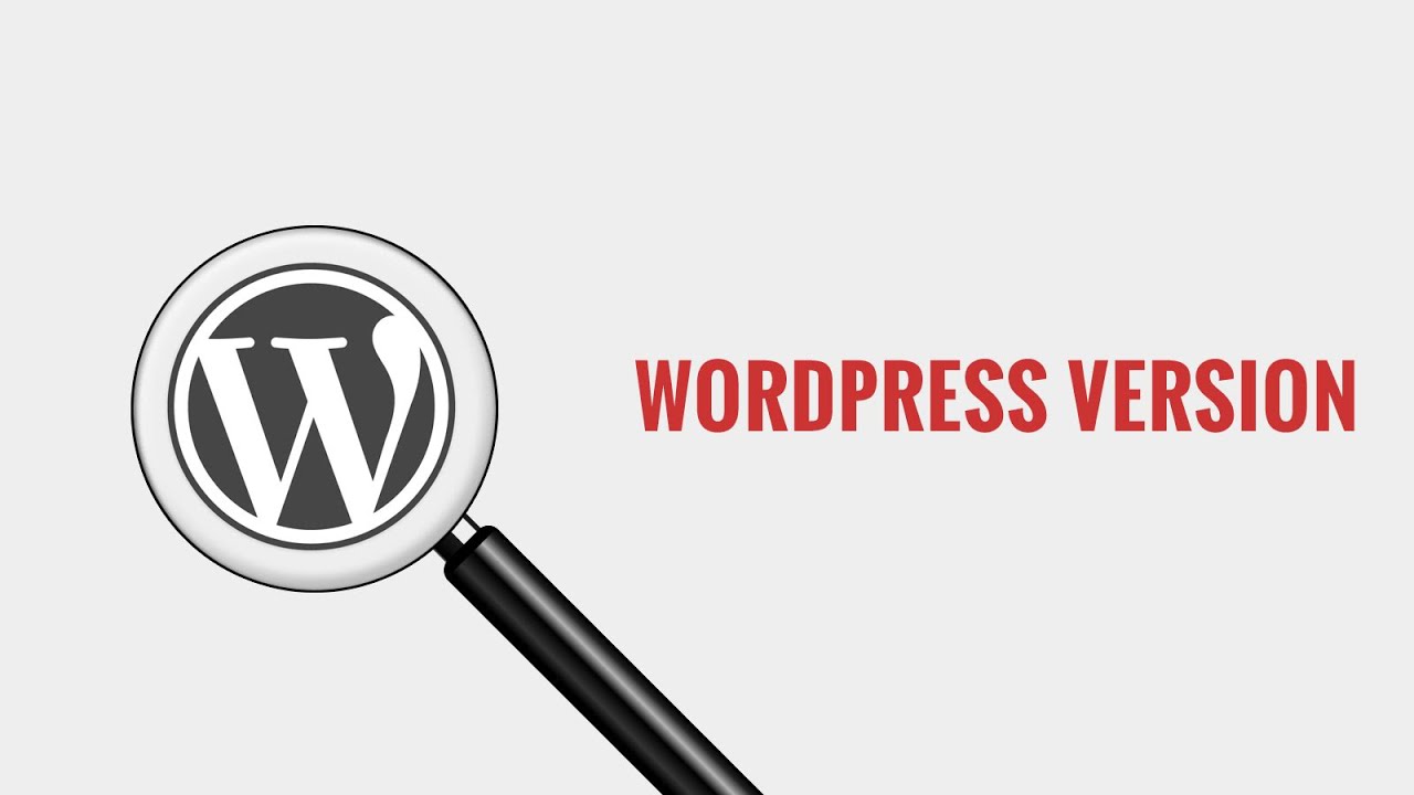 How to Easily Check Which WordPress Version You are Using