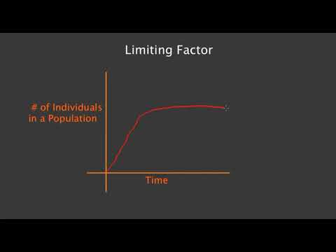 Graph for limiting factor in an ecosystem