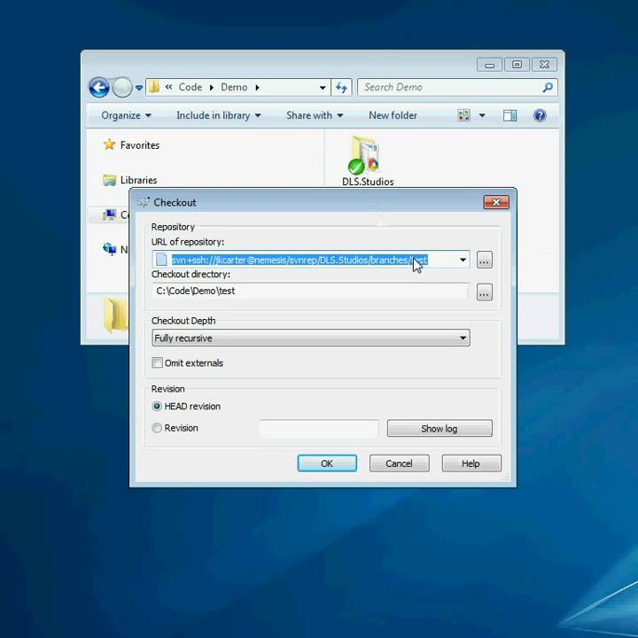 Creating an SVN development branch
