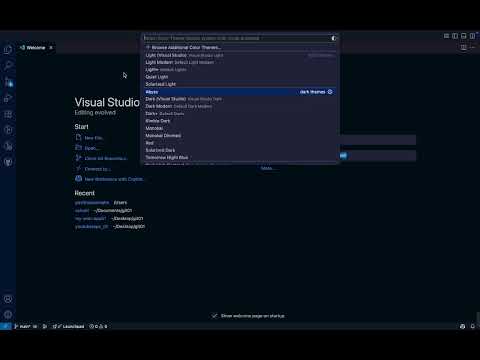 How to change Color Theme in Visual Studio Code