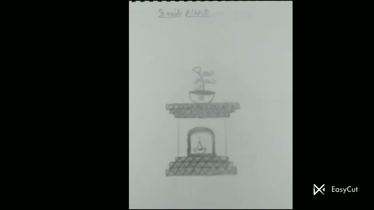 A basil plant #viral #drawing 
