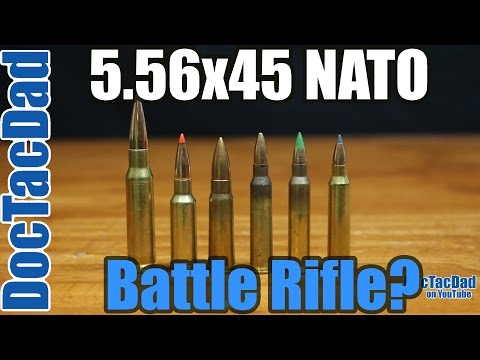 5.56x45mm NATO For a Battle Rifle?
