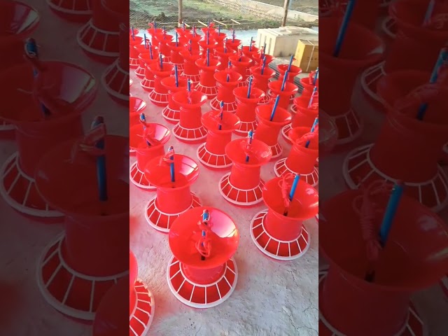 Poultry Feeder - Chick Turbo Feeder Manufacturer from Raipur