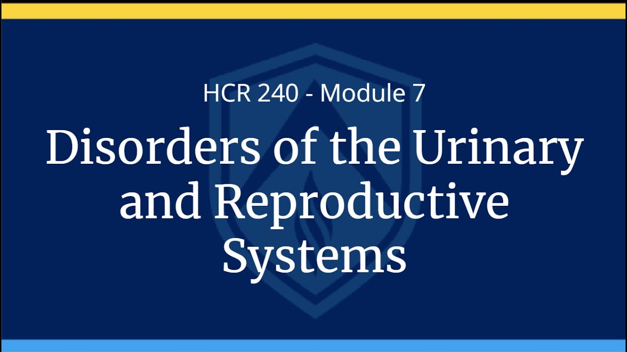 HCR 240: Module 7 - Disorders of the Urinary and Reproductive Systems