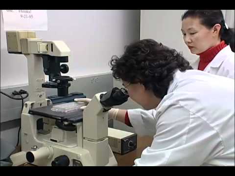 UofL snags $9.56 million NIH grant for cardiovascular research