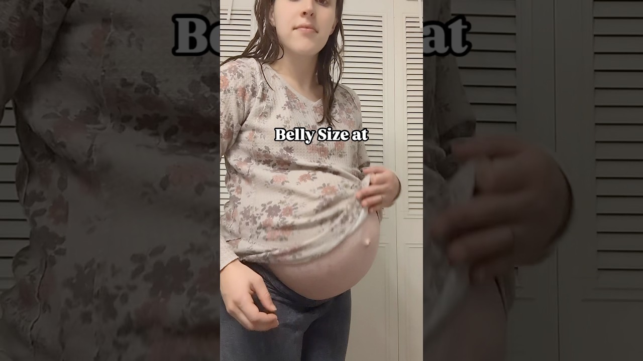40 weeks pregnant belly size #pregnancyweekbyweek