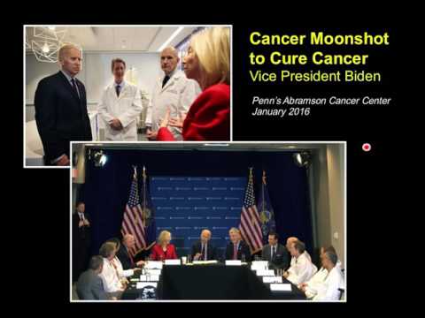 Immunotherapy for Pancreatic Cancer