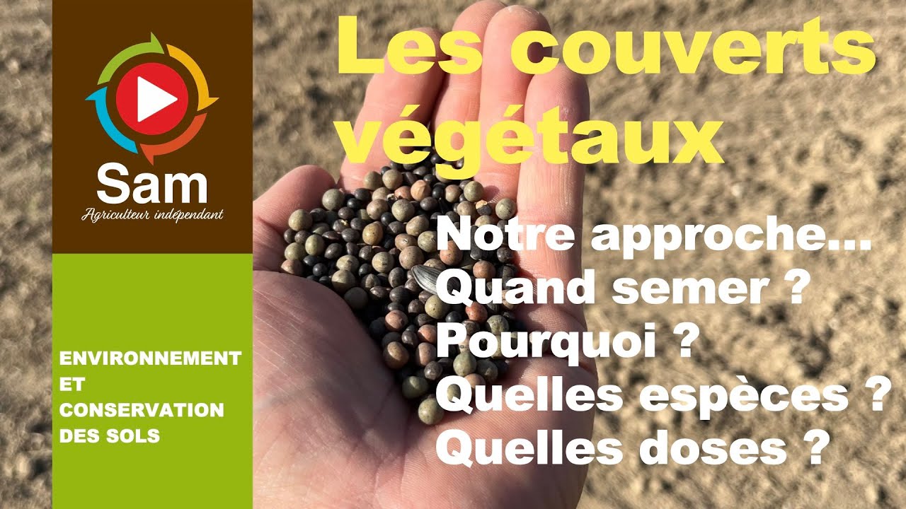 Cover crops: why and how? When to sow? Which species? What doses?...