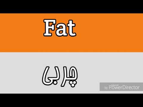 English Learning Vocabulary English Lesson Fat word | Mehran Speaking Tv