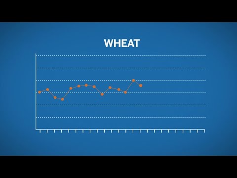 Trading Analysis - Fundamental Trading Methods