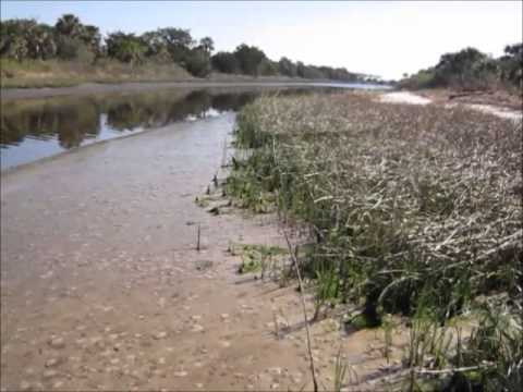 Importance of Salt Marsh Ecosystems for Human Well-Being