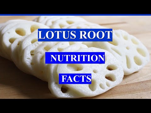 LOTUS ROOT - HEALTH BENEFITS AND NUTRIENT FACTS