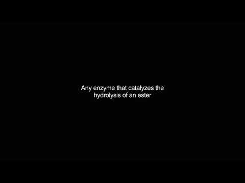 esterase video Dictionary meaning and pronunciation