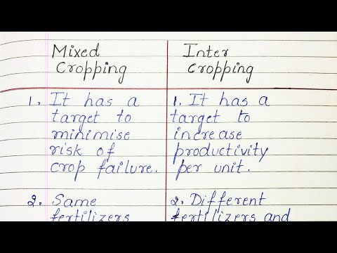 Difference between Mixed Cropping and Inter Cropping