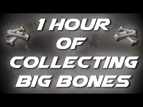 Collecting Big Bones | Testing OSRS Wiki Money Making Methods