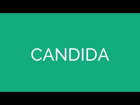 How To Pronounce Candida