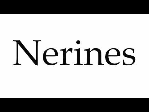 How to Pronounce Nerines