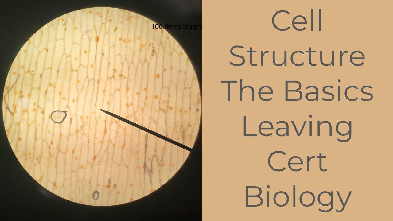 Cells-Leave Cert Biology -A Basic Summary -2022