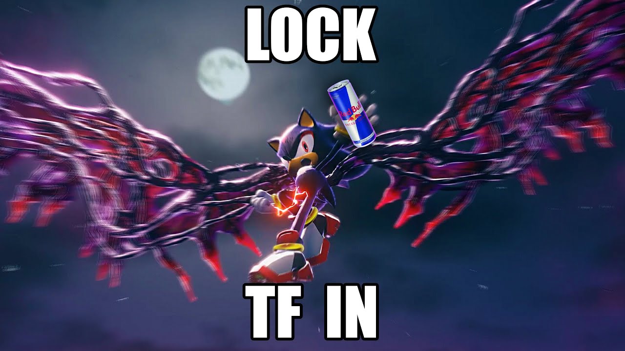When Shadow The Hedgehog Locks TF In