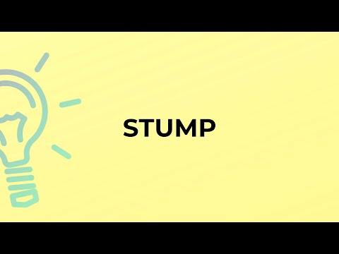 What is the meaning of the word STUMP?