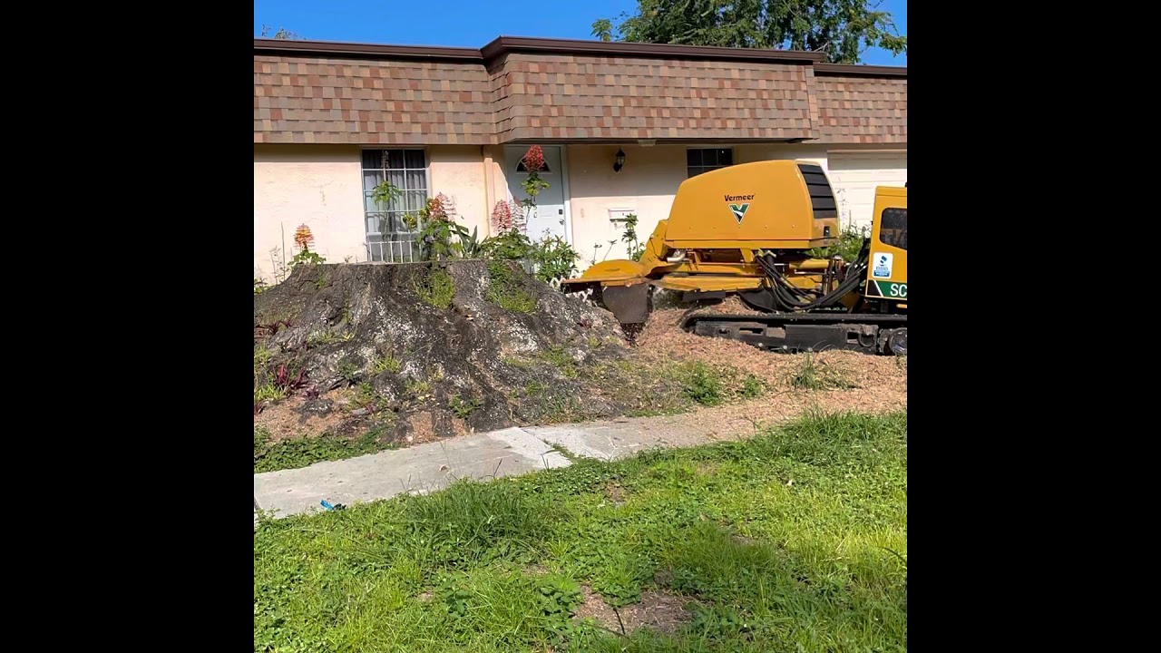 Óscar Tree Services and Multiservices LLC