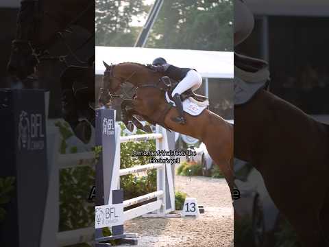 Jumping a 1.50m with no stirrup 😲#equestrian #equestrianvibes #showjumping #showjumper #horserider