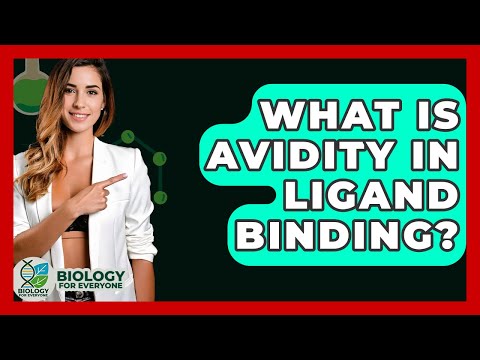 What Is Avidity In Ligand Binding? - Biology For Everyone
