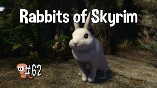 Rabbits of Skyrim at Skyrim Nexus - Mods and Community