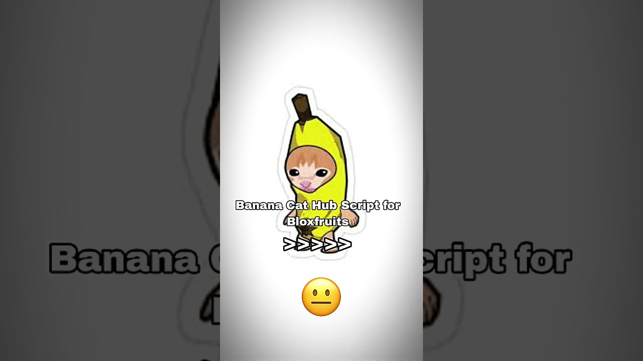 Banana Cat Hub Script bloxfruits #bloxfruits #bloxfruit #bloxfruitscript #bloxfruitsscript #script