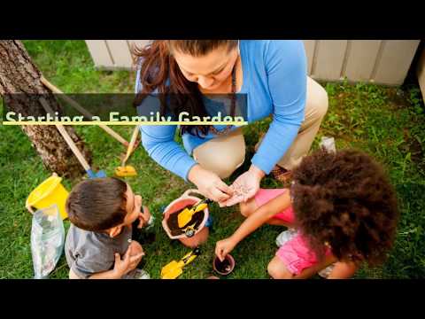 World Environment Day Activities for Kids