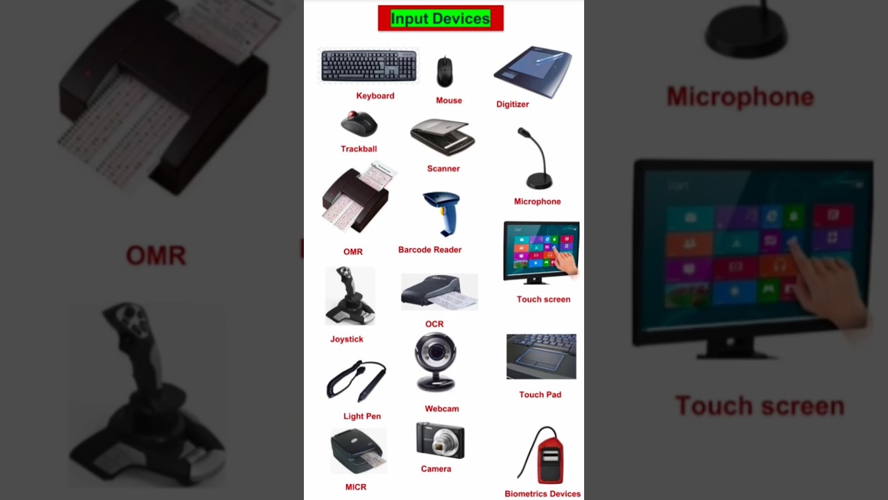 Input Devices || Basic Computer Knowledge Part 3 #computer #basics #notes