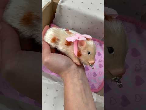 Silicone Baby Pig 🐷 Box Opening