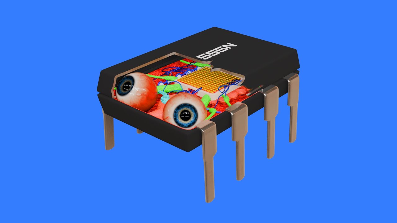 How a Microchip works