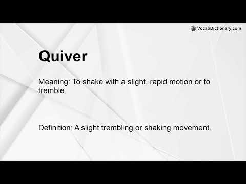 Quiver Meaning