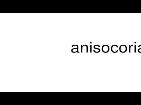 How to pronounce anisocoria