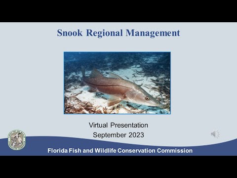 Snook – Regional Management September 2023 Recorded Presentation