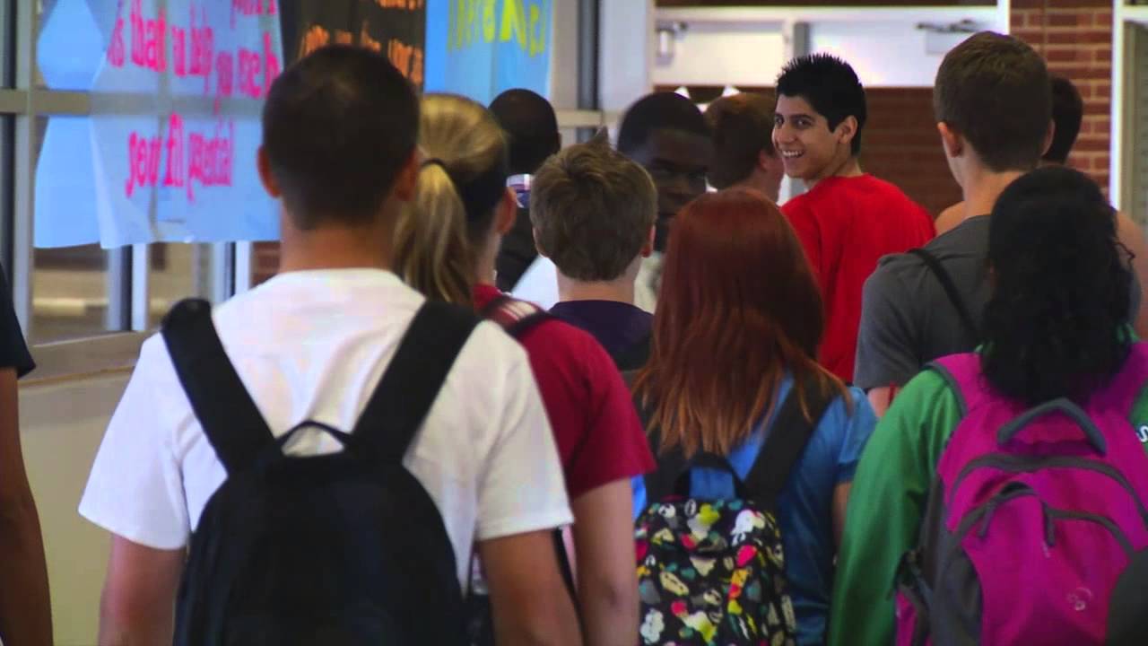 LDISD Case Study - Short