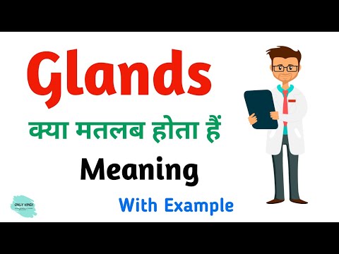 Glands meaning in hindi | Glands Ka Kya Matlab hota hai | Daily use English words