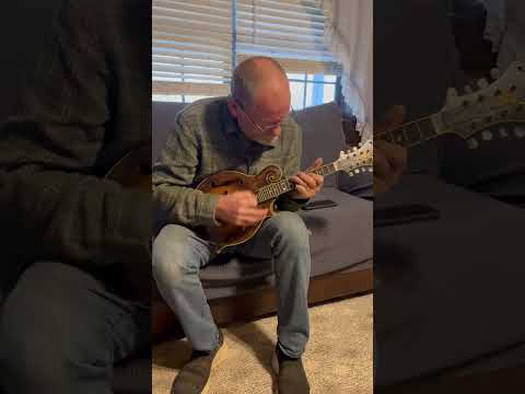 Gray Mandolin F Model mid 2015 - curly maple, red spruce top | Reverb